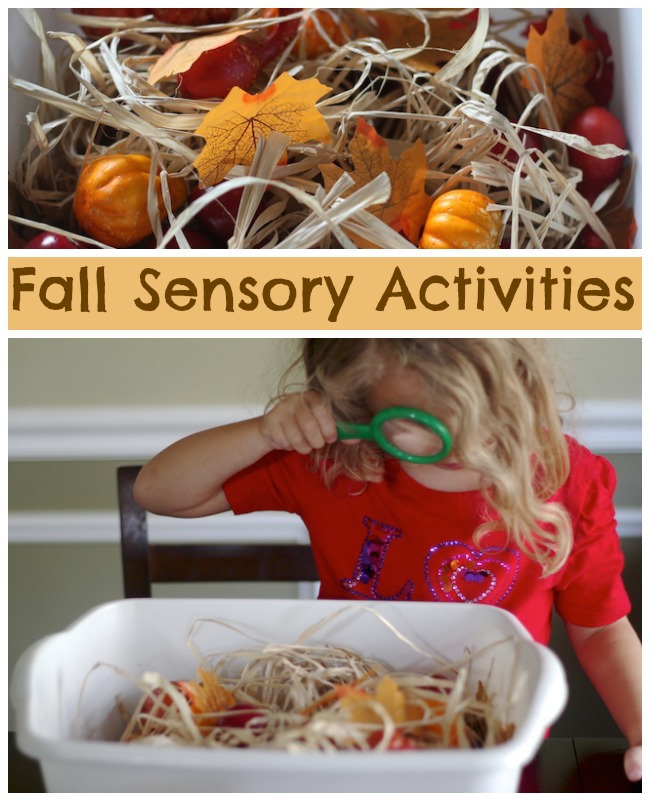Fall Sensory Activities Mom It ForwardMom It Forward fall-sensory-activities-mom-it-forwardmom-it-forward